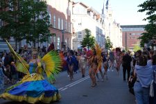 From Masks to Parades: Exploring the Traditions of Carnival Festivals ...